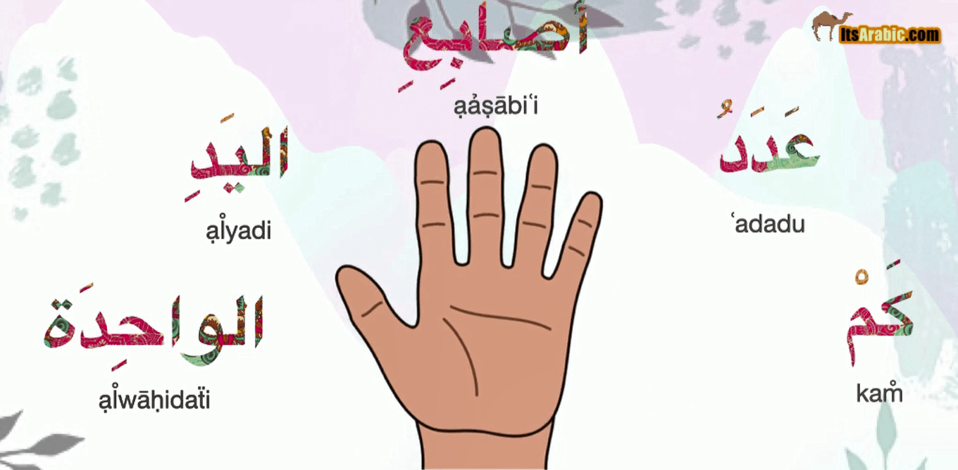 The Arabic Numbers Song (from 1 to 5) - Arabic Video Lessons